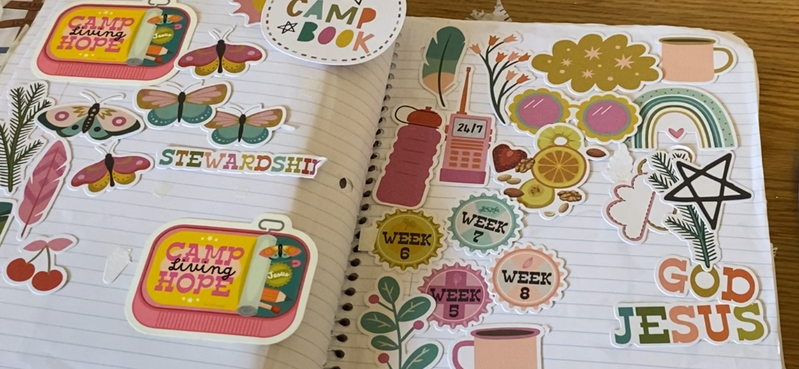 Fantastic Affordable Embellishment Organization You Need to Try ...